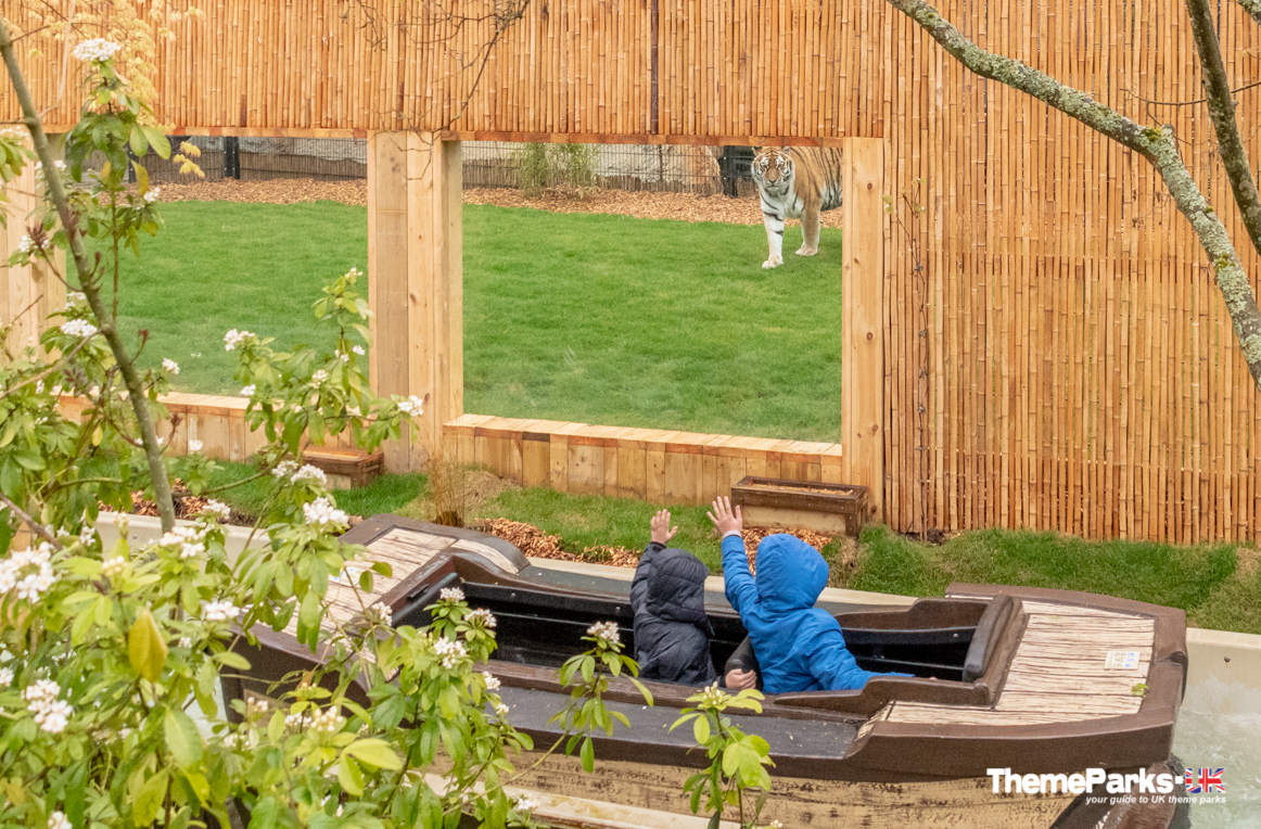 Tiger Rock roars to life at Chessington | Reviews | Theme Parks EU